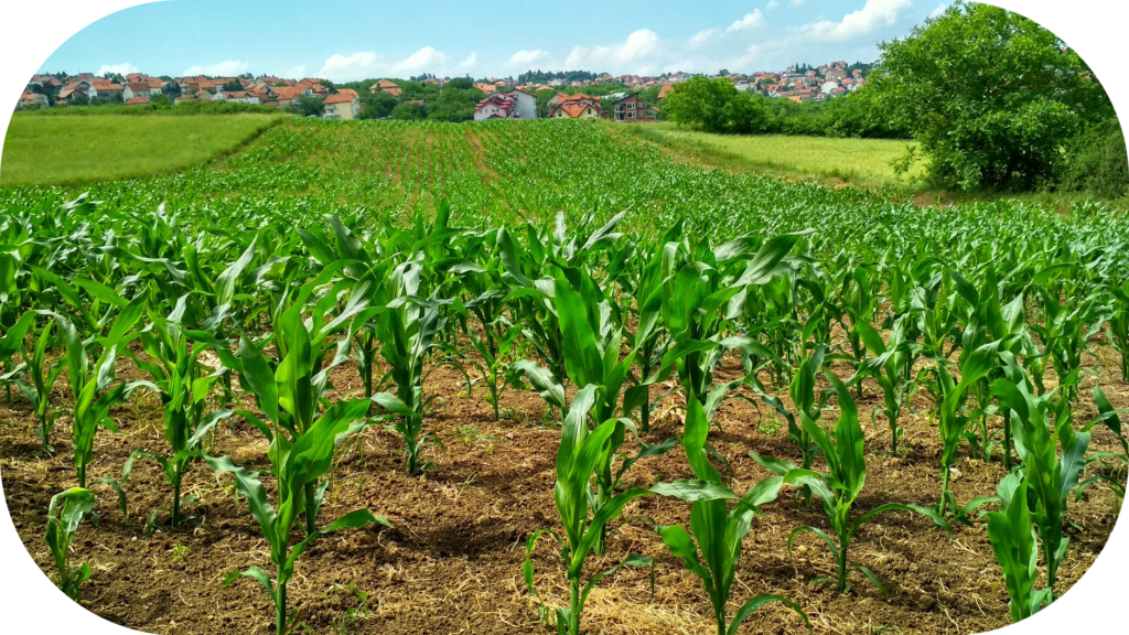 AGRIFERT® Enterprise International LLC – Produtivity from soil and ...