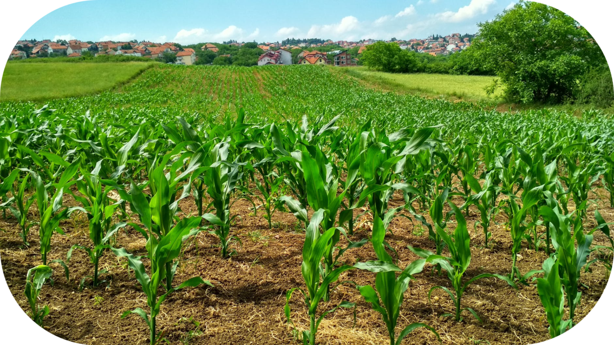 AGRIFERT® Enterprise International LLC – Produtivity from soil and ...